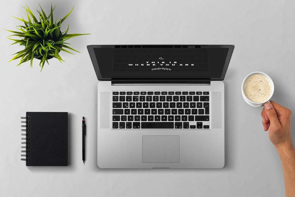 PALS Business Hub – companion for business needs