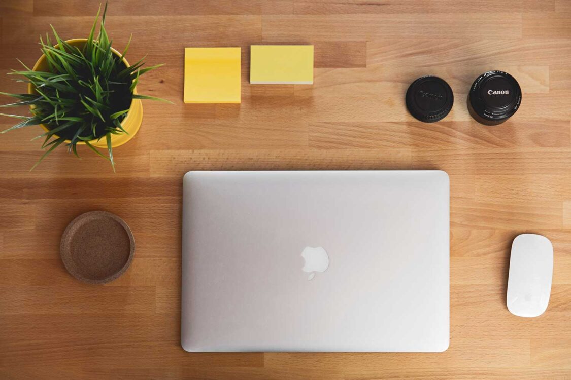 PALS Business Hub – companion for business needs